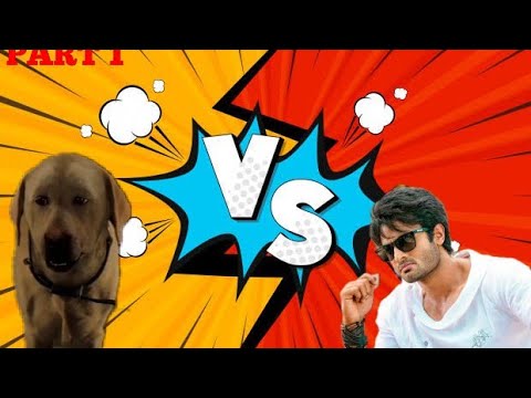 Jabardasth Aashiqui comedy scene