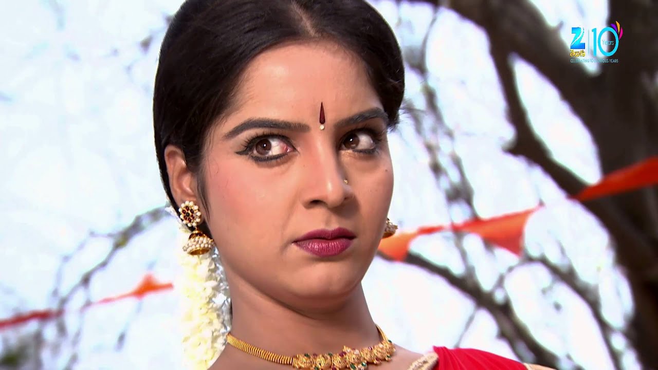 Geethanjali - Telugu Tv Serial - Best Scene - 181 - Roopa Shravan ...