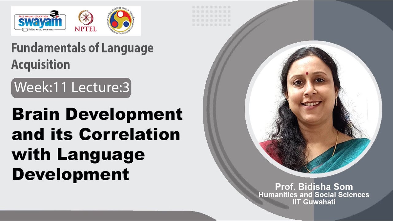 Lec 53: Brain development and its corelation with language development ...