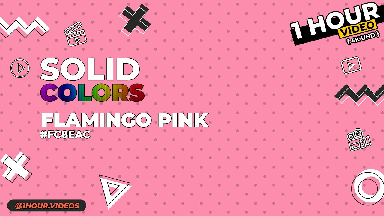 Flamingo Pink #FC8EAC - No Audio - 1 Hour - 4k - Chromotherapy - Solid ...