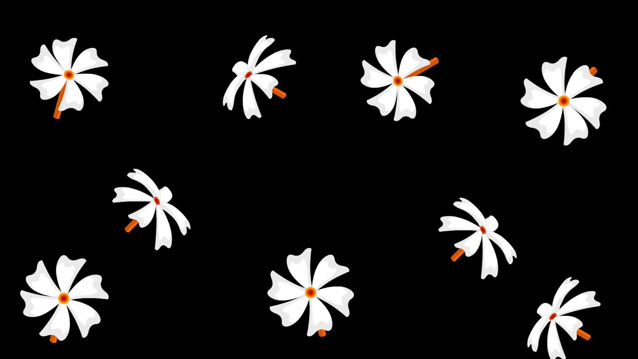 SHIULI FLOWER - YouTube