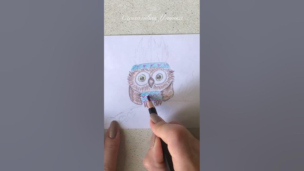 Как нарисовать сову карандашами Рисунки для детей How To Draw