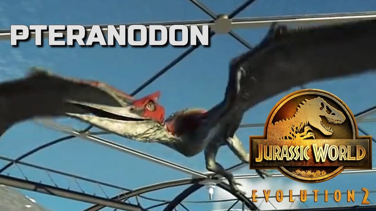Jurassic World Evolution 2 - Pteranodon (Species Field Guide) - YouTube