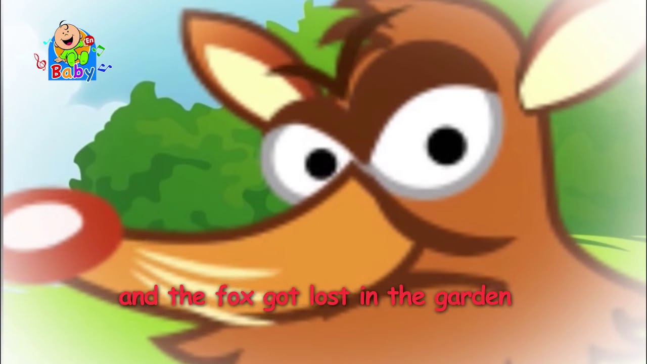 The rabbit and the fox Toyor Baby English - YouTube