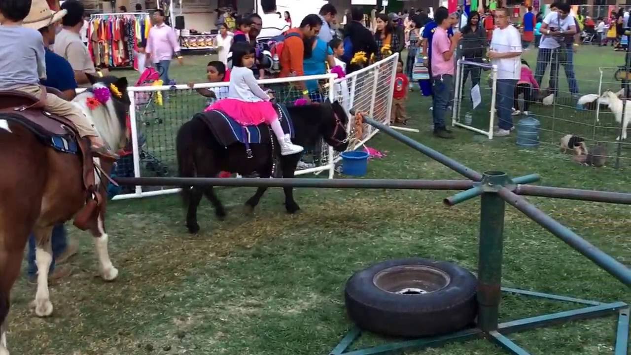 Tis pony ride in Diwali fair - YouTube