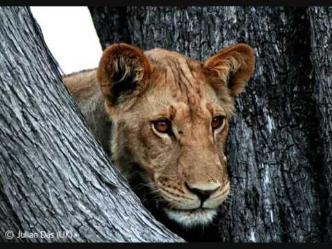 Loreena McKennitt-Santiago