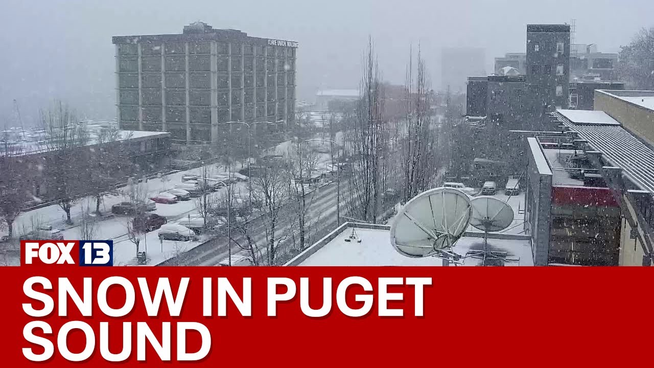 FOX 13 News Puget Sound Prepares For Major Snow Event FOX 13 Seattle fox-13-news-puget-sound-prepares-for-major-snow-event-fox-13-seattle