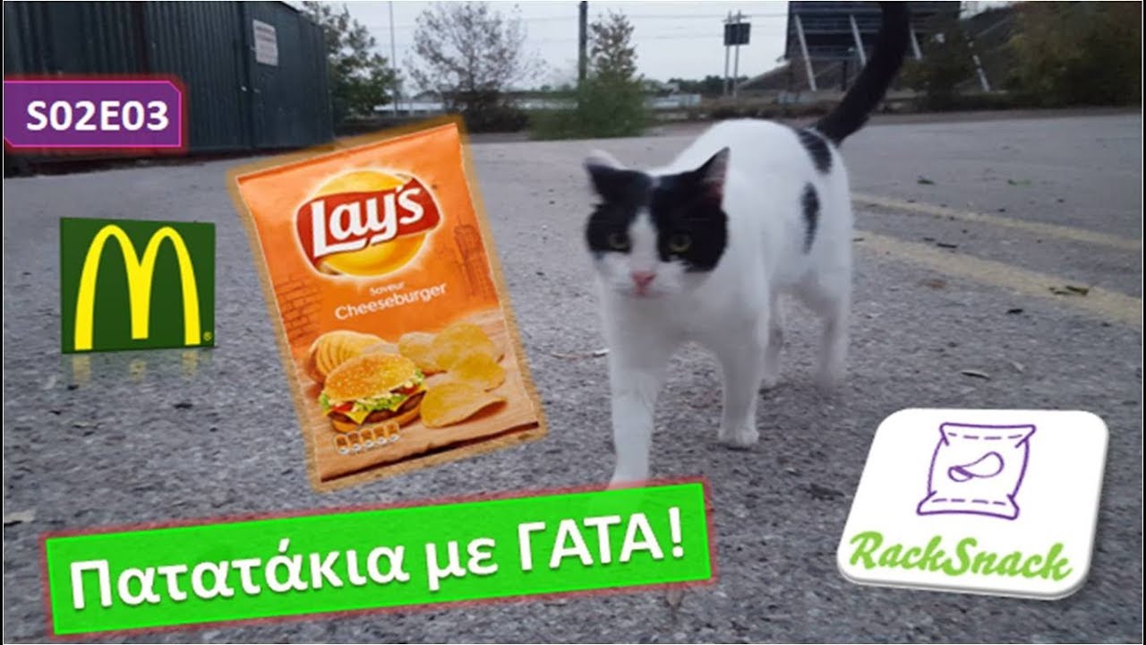 Cheeseburger, ΓΑΤΕΣ & Πατατάκια! - Δοκιμή Lay's Saveur Cheeseburger ...