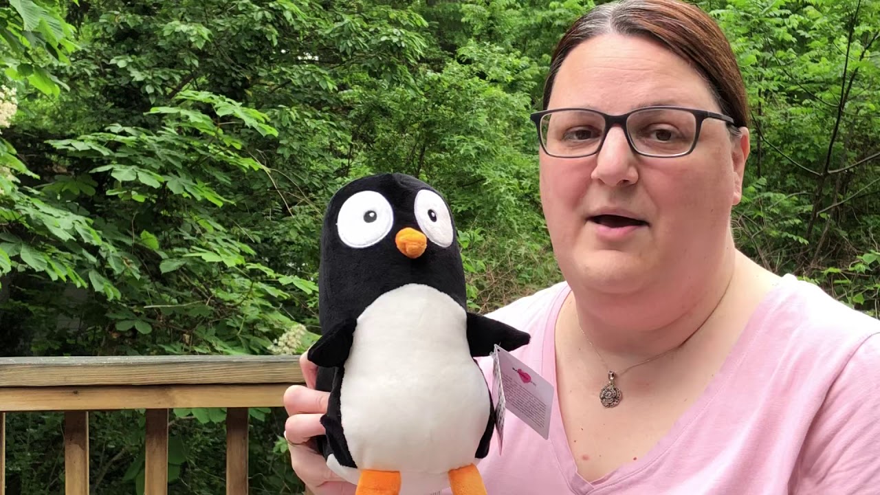 Ms. Natalie reads Penguin Problems by Jory John - YouTube
