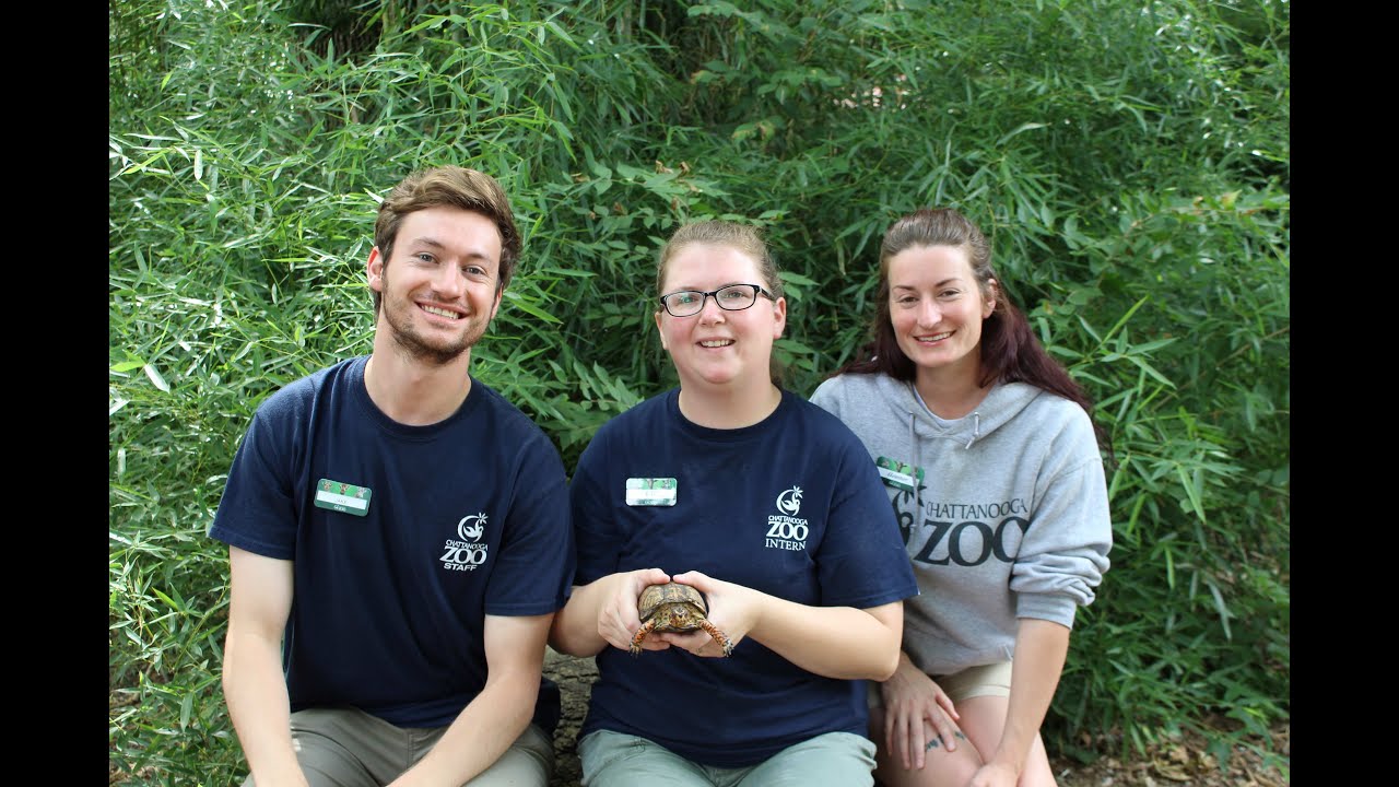 Student Internship at the Chattanooga Zoo: Lacy Cooper - YouTube