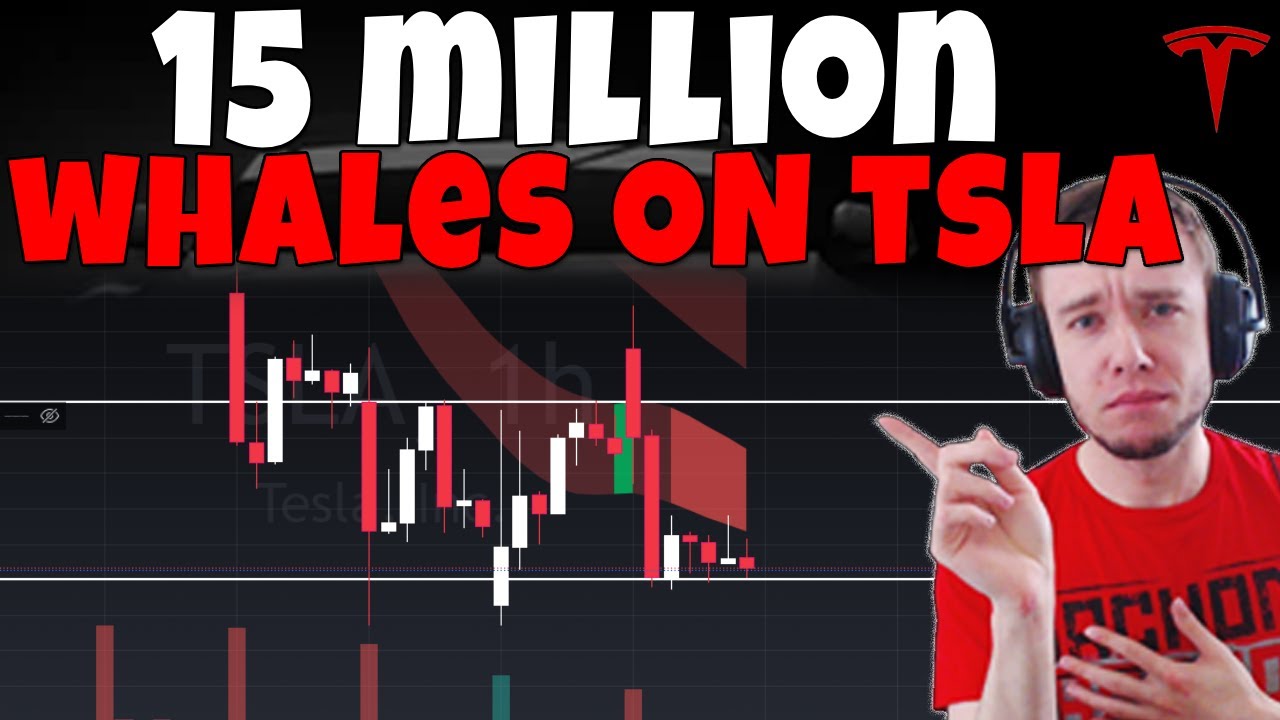 TESLA Stock - 15 Million Whales Stepping in For TSLA - YouTube