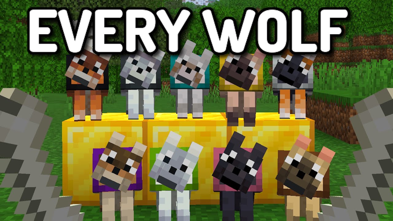 Finding EVERY MINECRAFT WOLF - YouTube