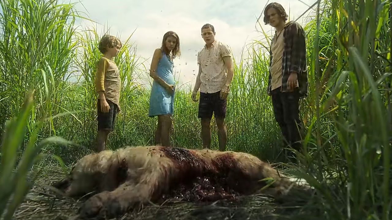 Grass Traps people in time loop | There is no way out | Movie Explained ...