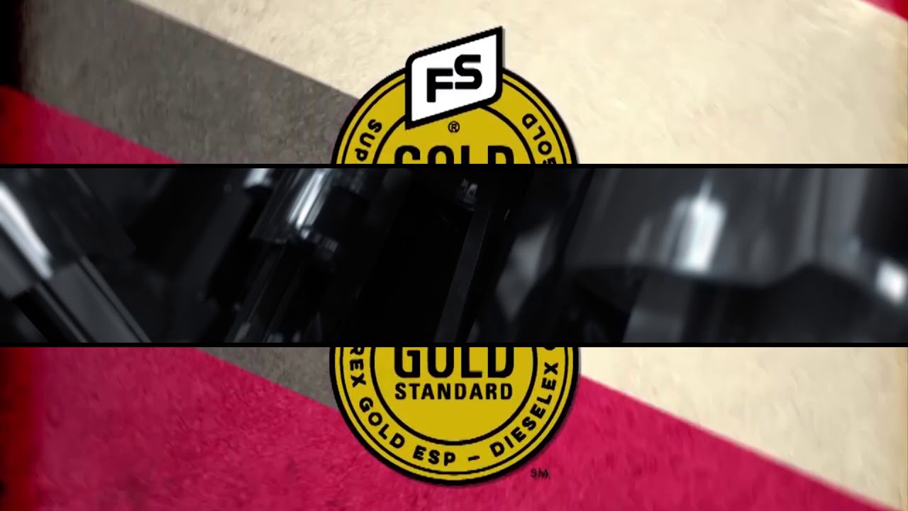 FS Gold Standard - YouTube