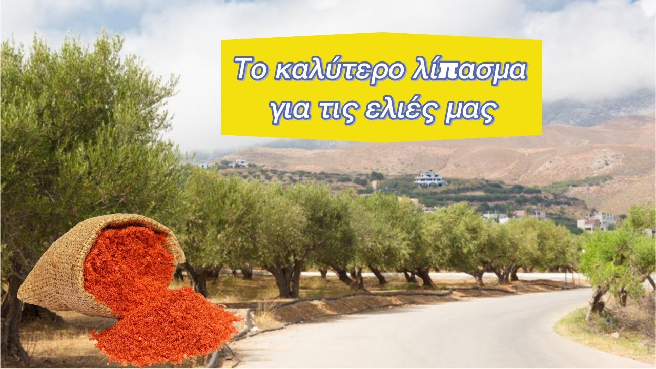 📢🫒ΕΛΙΑ-ΤΟ ΚΑΛΥΤΕΡΟ ΛΙΠΑΣΜΑ ΔΙΝΕΙ ΑΠΟΤΕΛΕΣΜΑΤΑ & ΜΕ ΕΓΓΥΗΣΗ ️Η μόνη ...