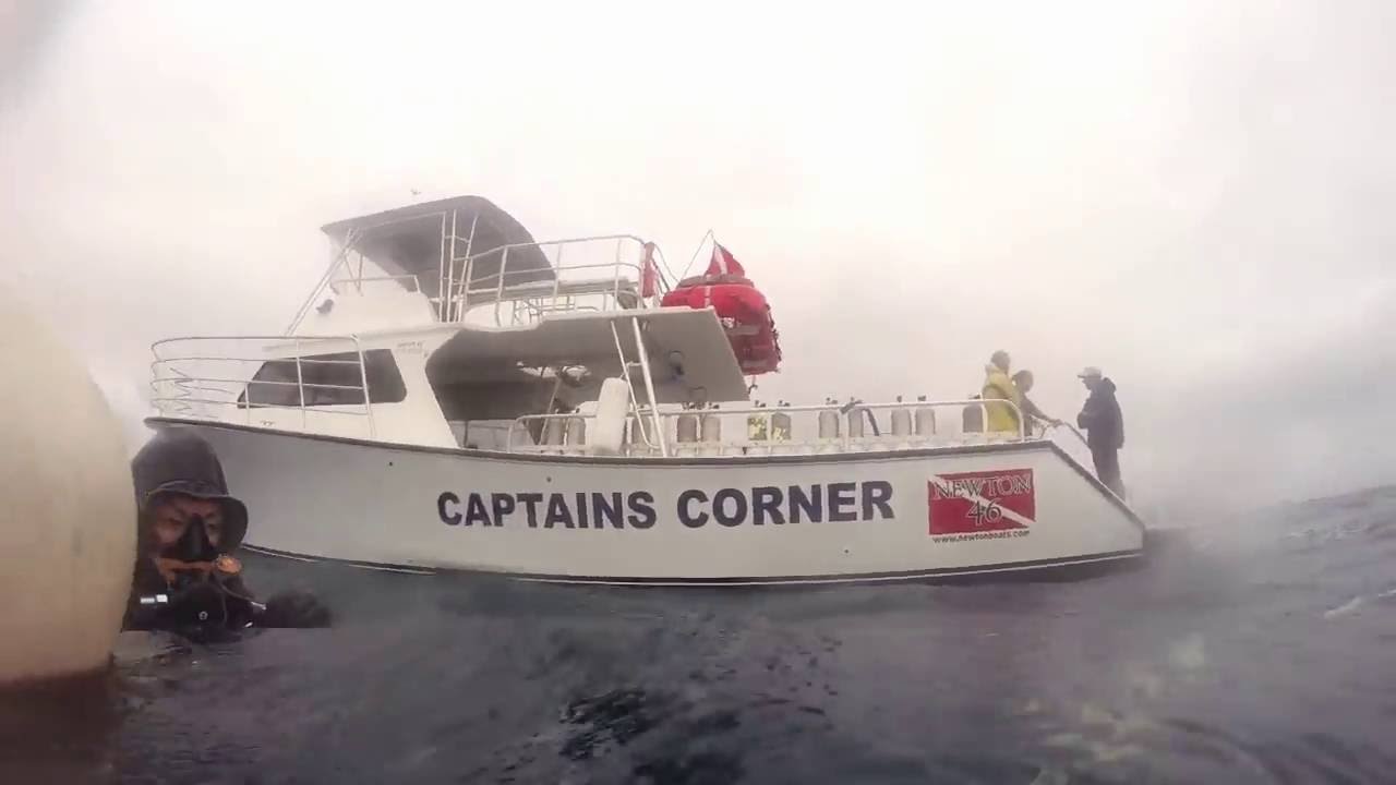 Scuba Diving USNS General Hoyt S Vandenberg - Florida - YouTube