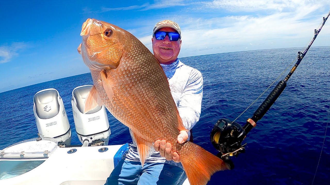 HAND FEEDING HUNDREDS OF BIG RED SNAPPER AT THE SURFACE - YouTube