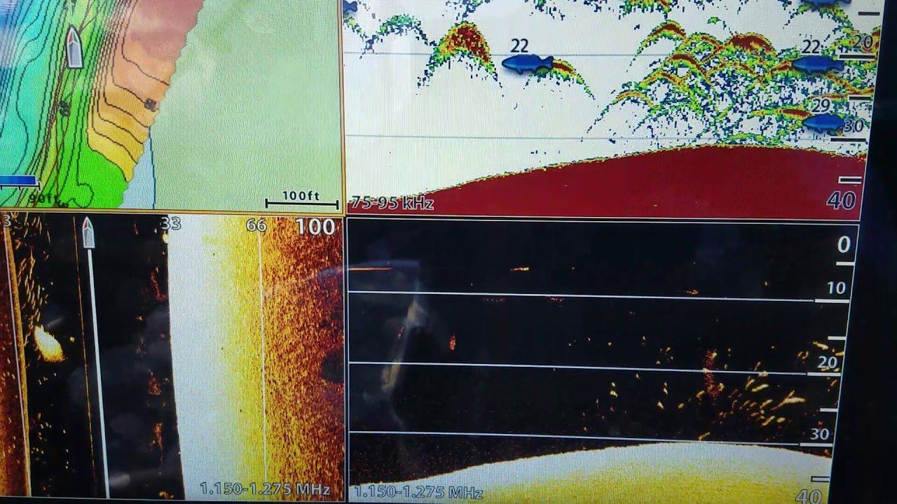 Striper Fishing Tims Ford Lake at Chloe Dunbar blog