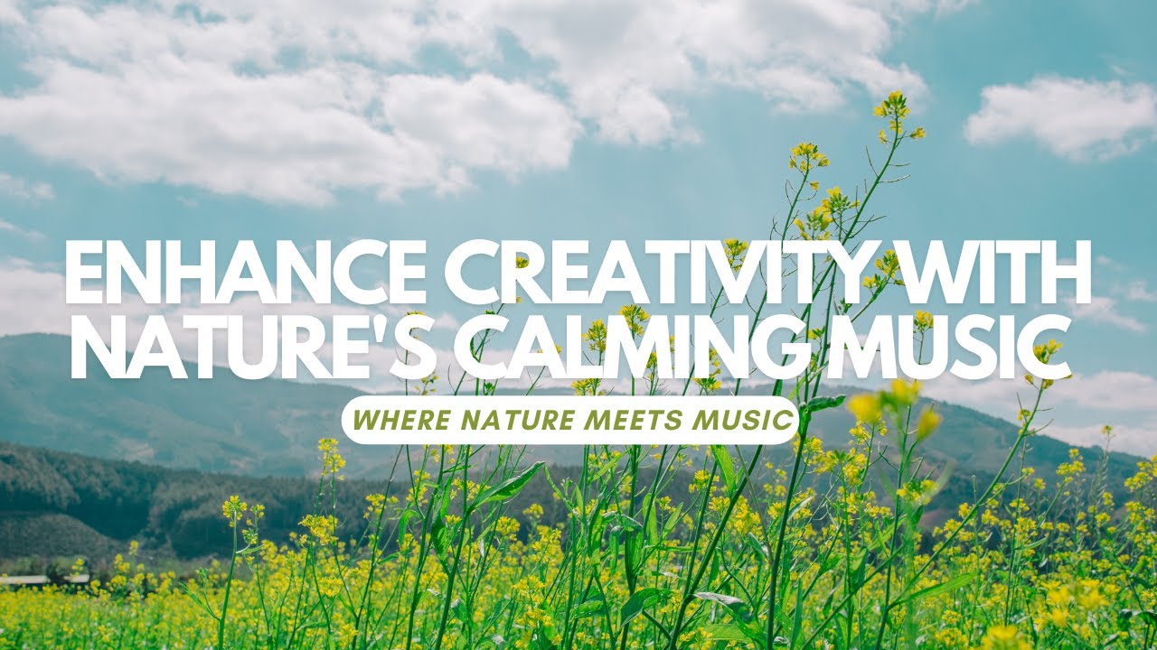 Enhance Creativity with Nature's Calming Music - YouTube