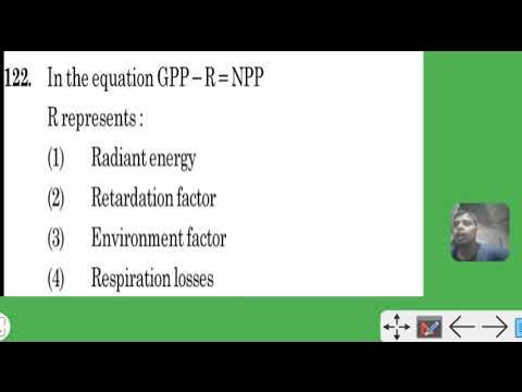 in the equation GPP-R=NPP, THE R represents? - YouTube