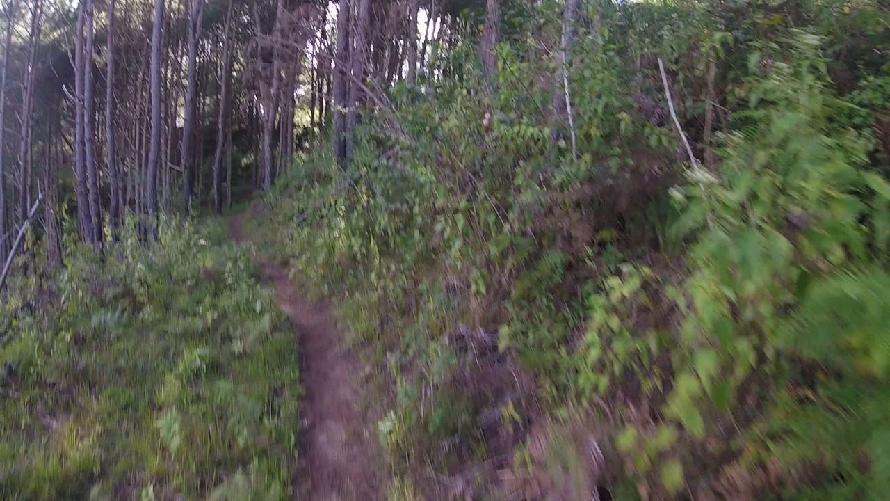 Home Trail @ Blue Soil - YouTube