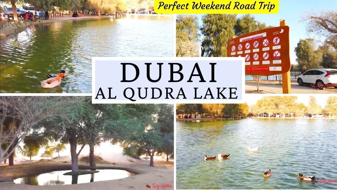 Al Qudra Lake Dubai Uae Overnight Camping Bbq Desert Camping Ideal Picnic Spot