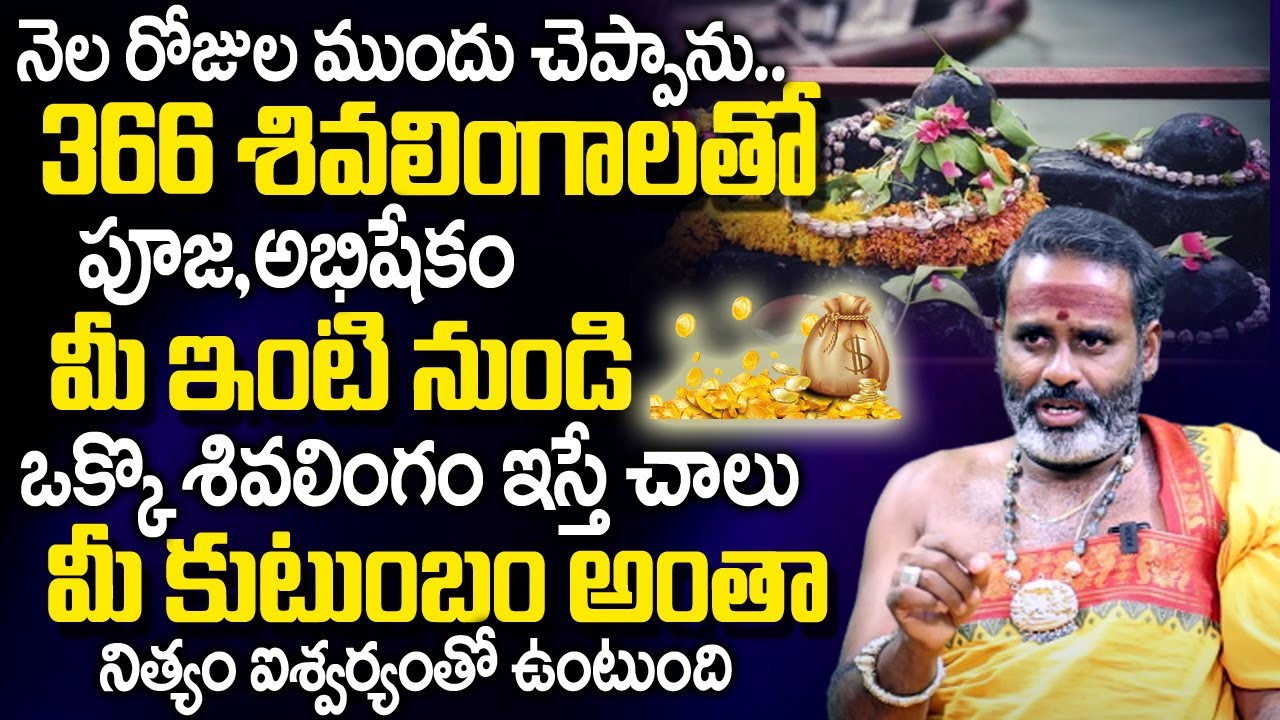 Rudra Abhishek Pooja | 366 Shivalinga Pooja At Bharathi Shankara Peetam ...