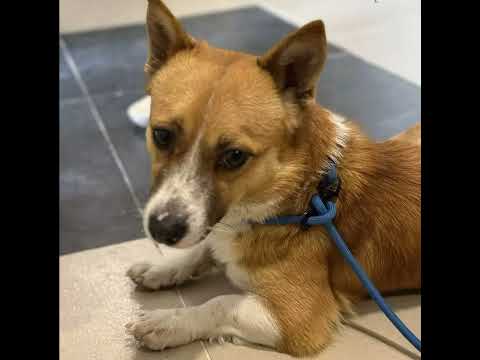 Soğuk nedir bilirmisiniz .Ben bilmem terk edildim nedeni olmadan