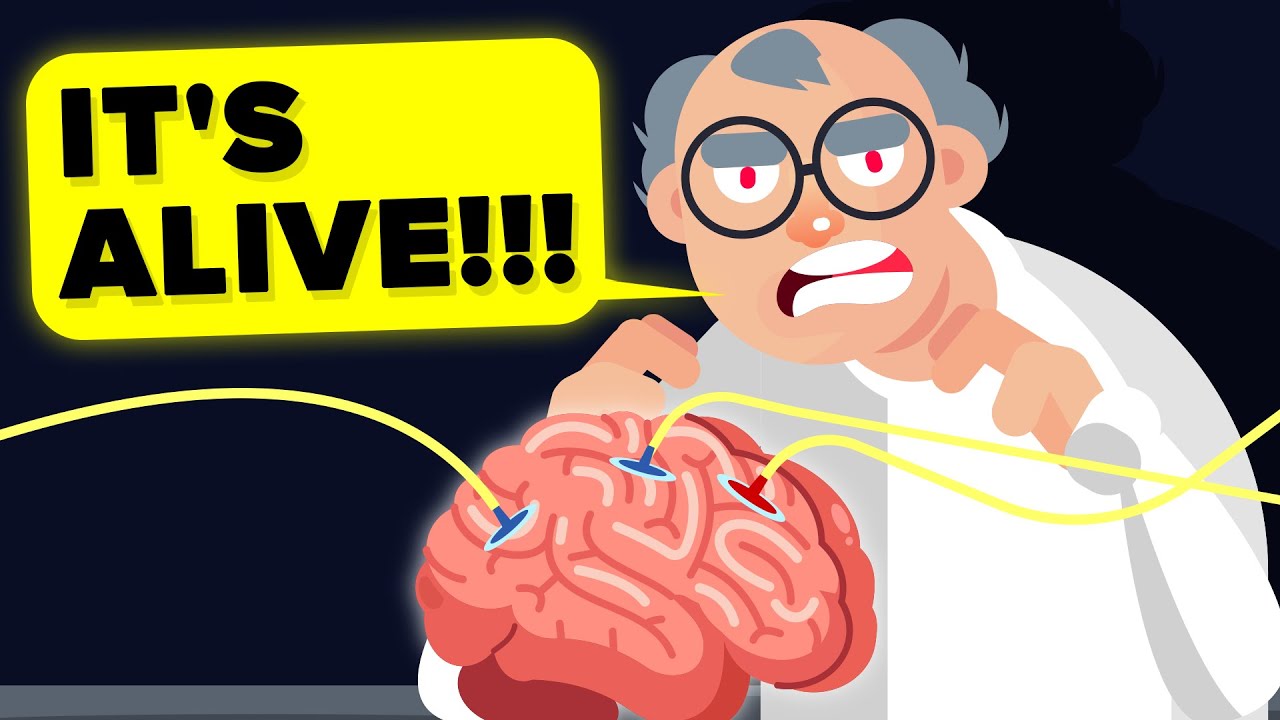 How Scientists Made Their Own Brain - YouTube