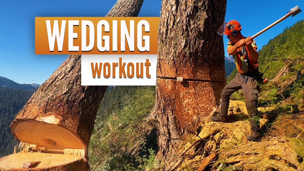 Pushing 3 large trees | Wedging, Bucking & Favorite boots - YouTube
