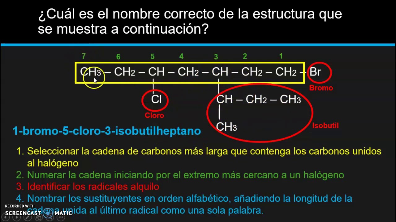 Grupos funcionales: Halogenuros de alquilo y alcoholes - YouTube
