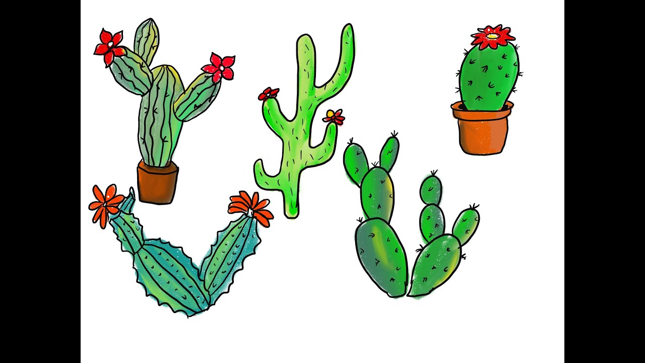 Draw 5 different cactus drawing step by step | Easy plant drawing in ...
