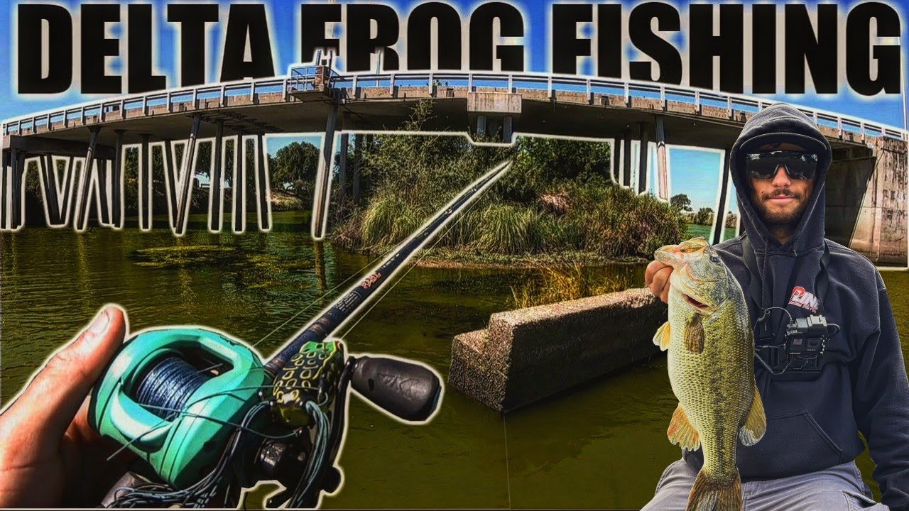 California Delta Frog Fishing | All Day Frog Fishing | I Cant Believe ...
