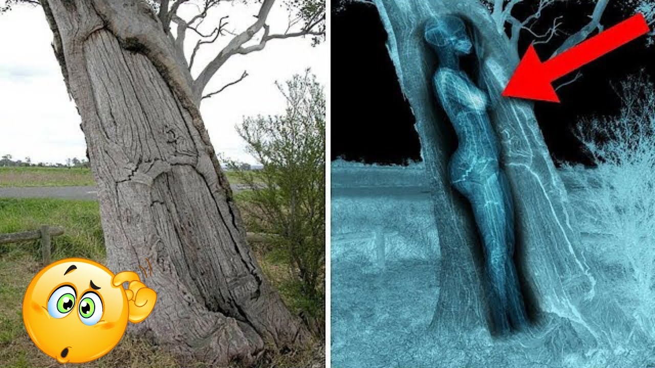 99% लोग भारत के 7 अजूबों को नहीं जानते - 7 Wonders of The India ...