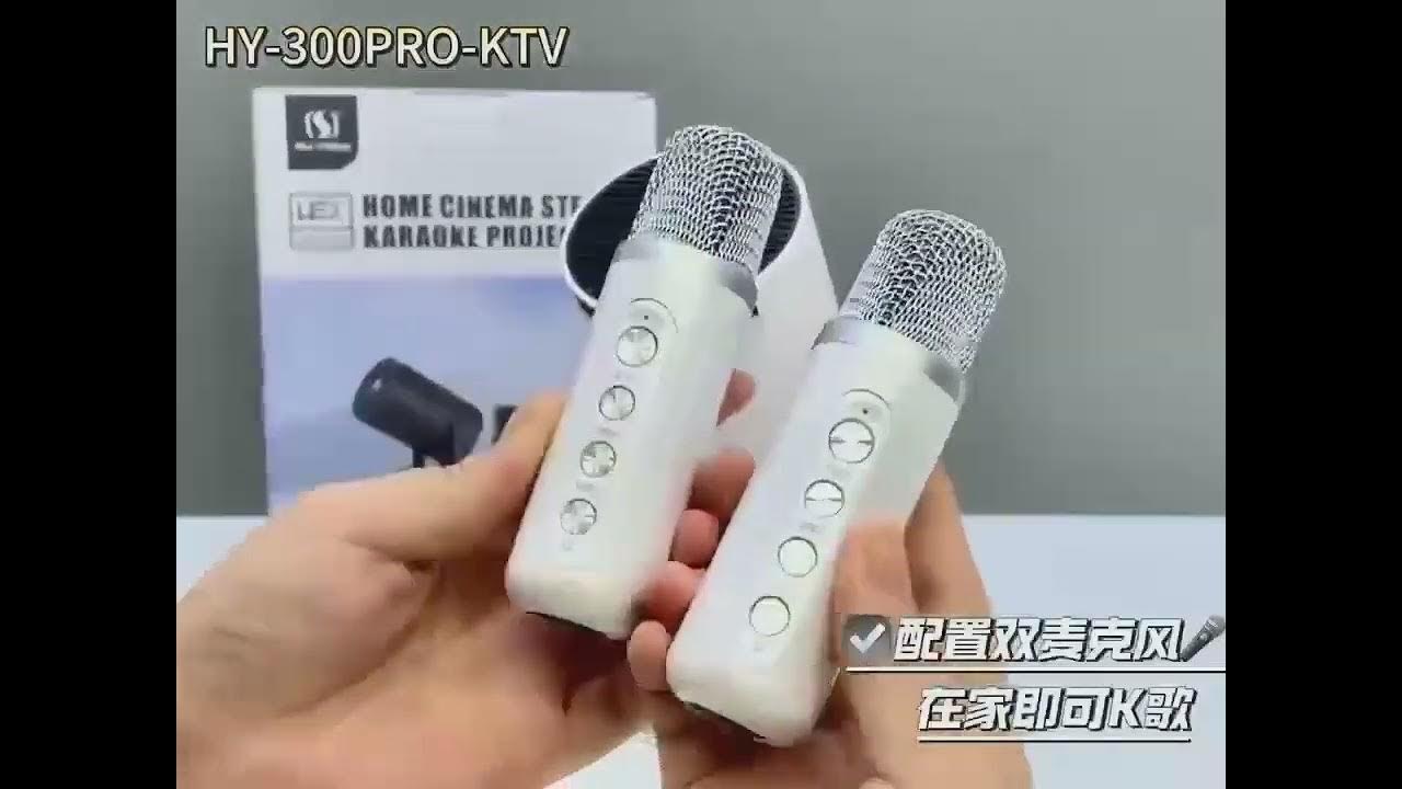 HY300 PRO KTV SPEAKER - YouTube