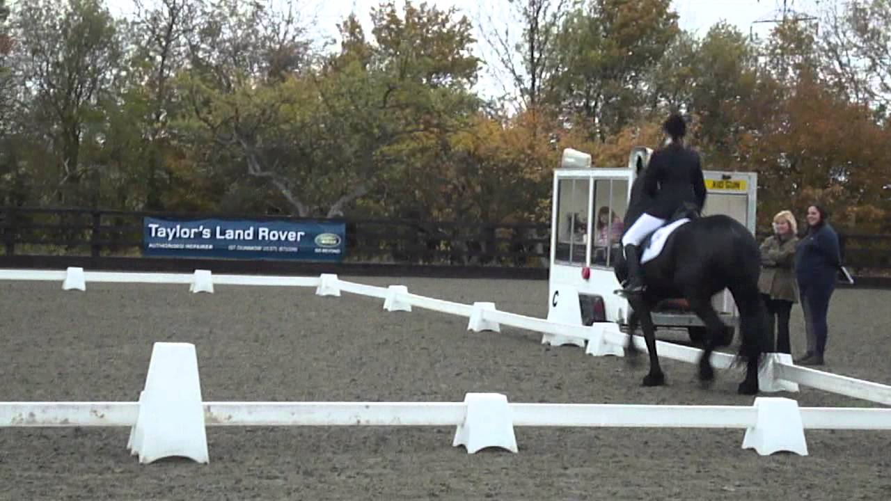 1st ever dressage test prelim 18 on my Friesian - YouTube
