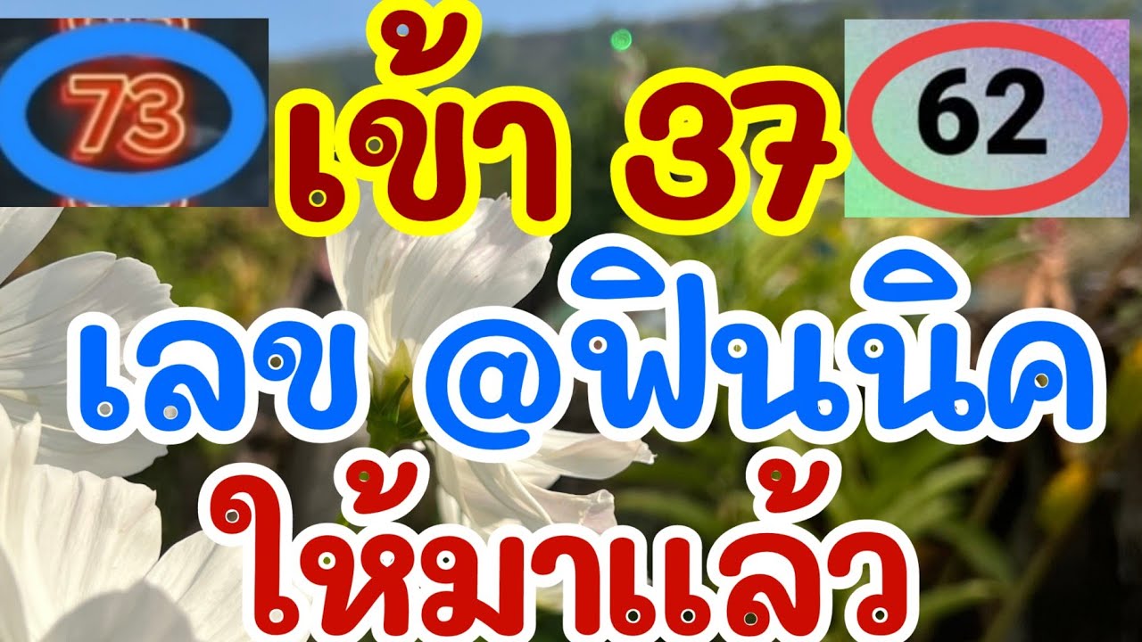 เข้า 37 แอดฟินนิค ให้มาแล้ว 1 ต.ค. 67 [EP.4] - YouTube
