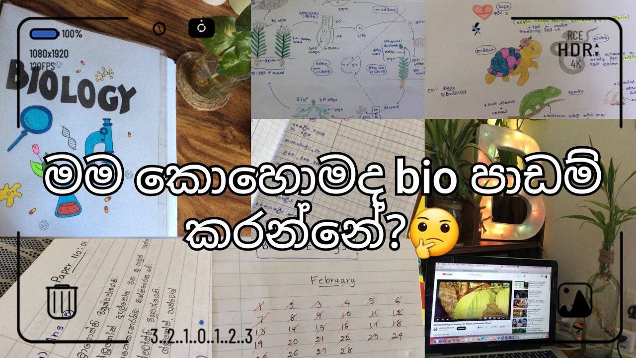 මම කොහොමද Bio පාඩම් කරන්නේ?|How I study biology?🤔@Studydiary-u5k# ...