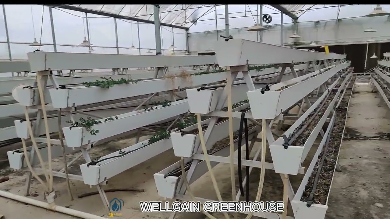 Gutter for Strawberries - YouTube