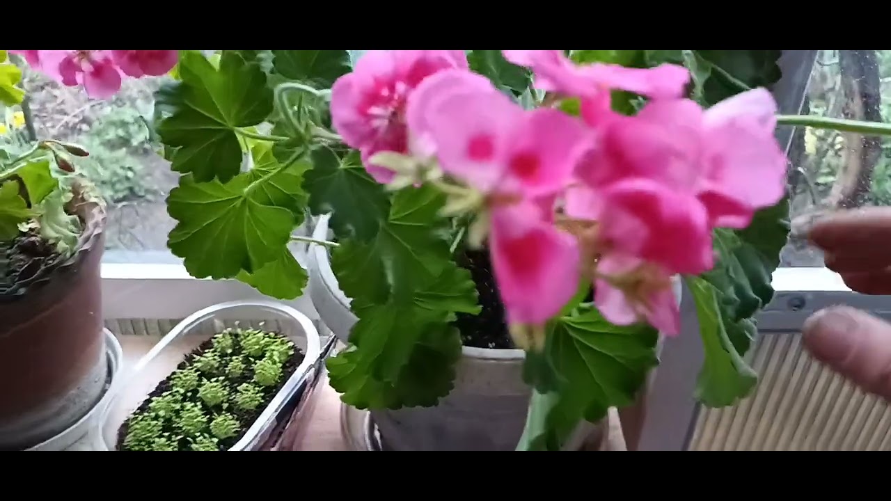 Забавление в дъждовен ден Youtube