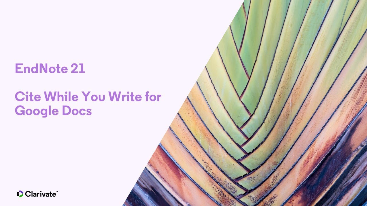 Cite While You Write for Google Docs - YouTube