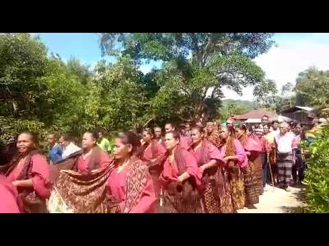 Tarian Penyambutan Pater Baldus Rade di Desa Mbotulaka
