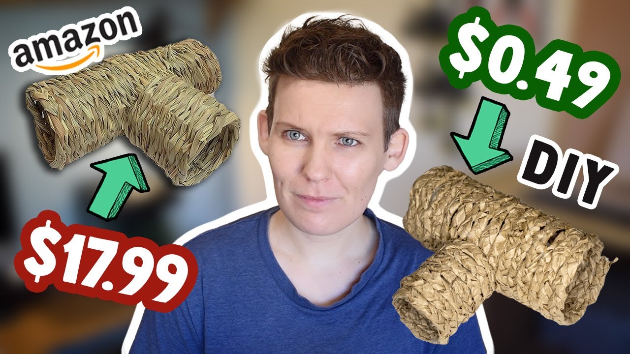 DIY This Popular Hamster Toy For Just 0.49¢ - YouTube