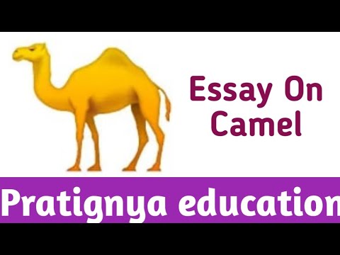 Camel Essay in English|| Essay On Camel||Essay On Camel - YouTube