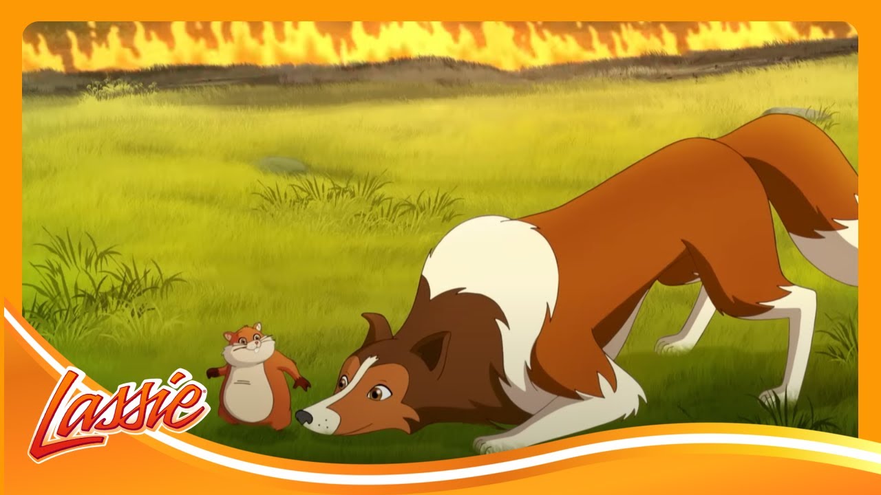 🔥Lassie Protects Animals from a Forest Fire! | The New Adventures of ...