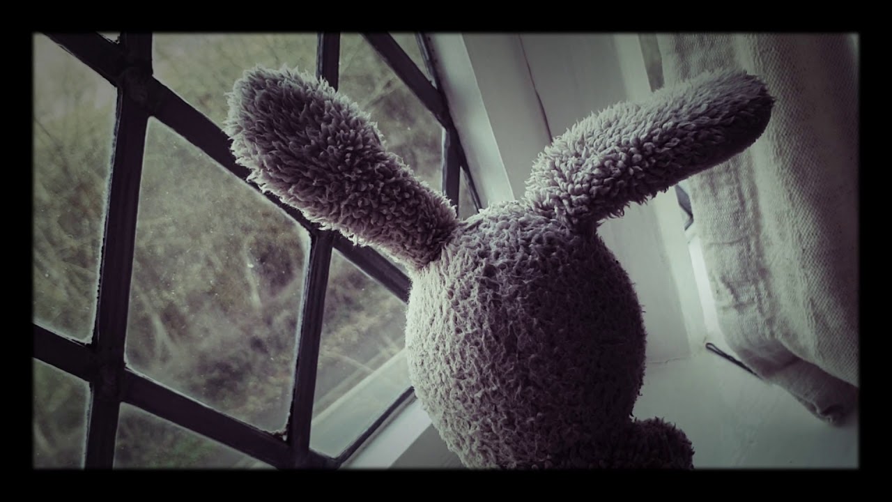 Meet.... GEORGE THE RABBIT!! - YouTube