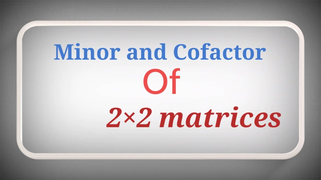 | Minors and Cofactors of 2×2 matrices|Class 12 Mathematics| - YouTube