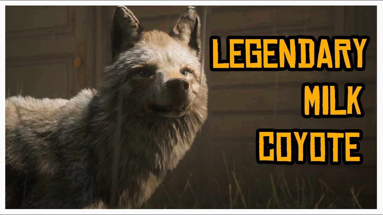 Legendary Milk Coyote (New Sighting Mission) and New Coat - Red Dead ...