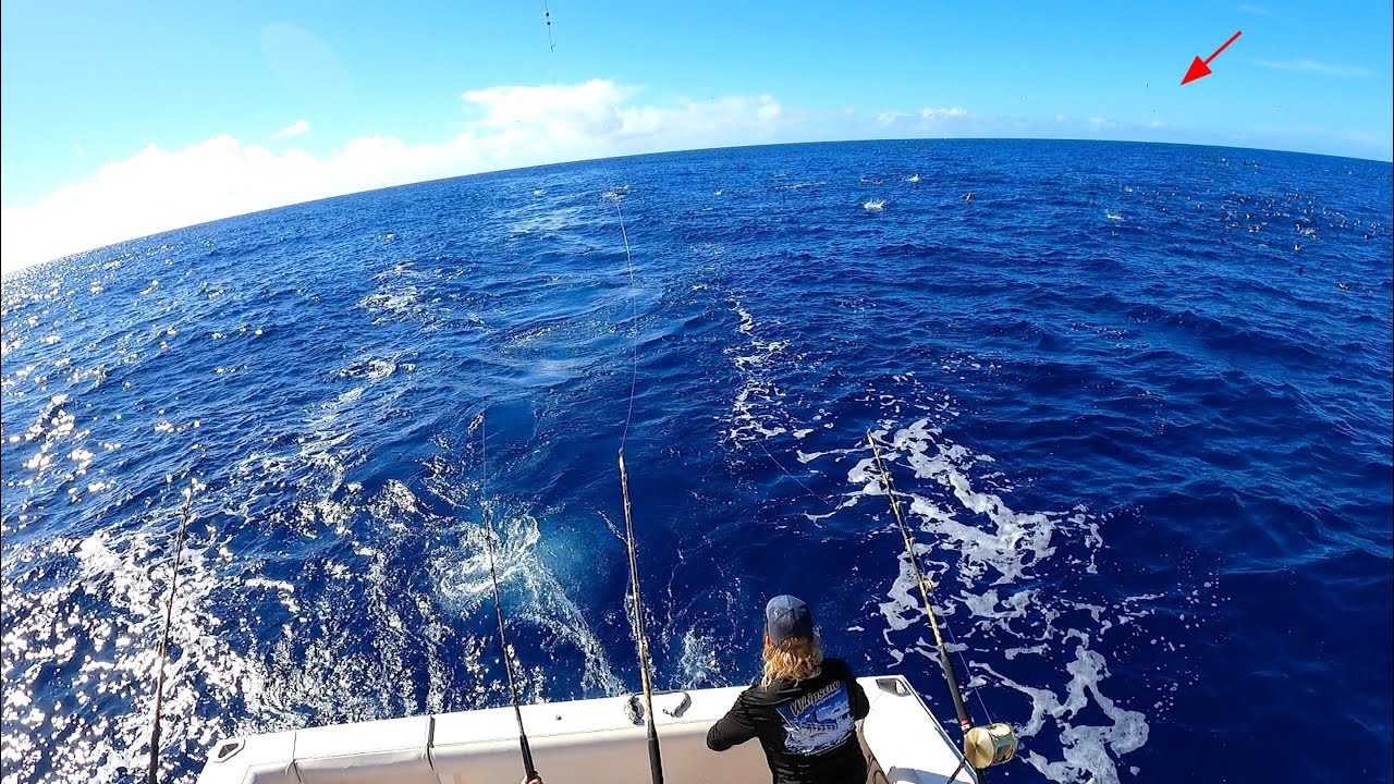 Surrounded By Tuna Deep Sea Fishing in Hawaii!! - YouTube