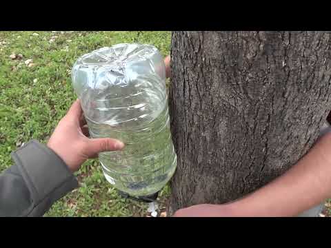 Süper fikirler 5ltsu şişesinden Doğaya kuşlara börtü böceğe suyu vefaydalı içeriklerüretmemizgerekir